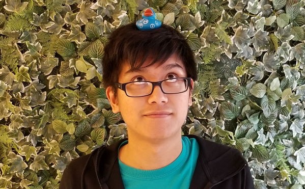 Bringing gaming expertise to technology education - Discover Coding